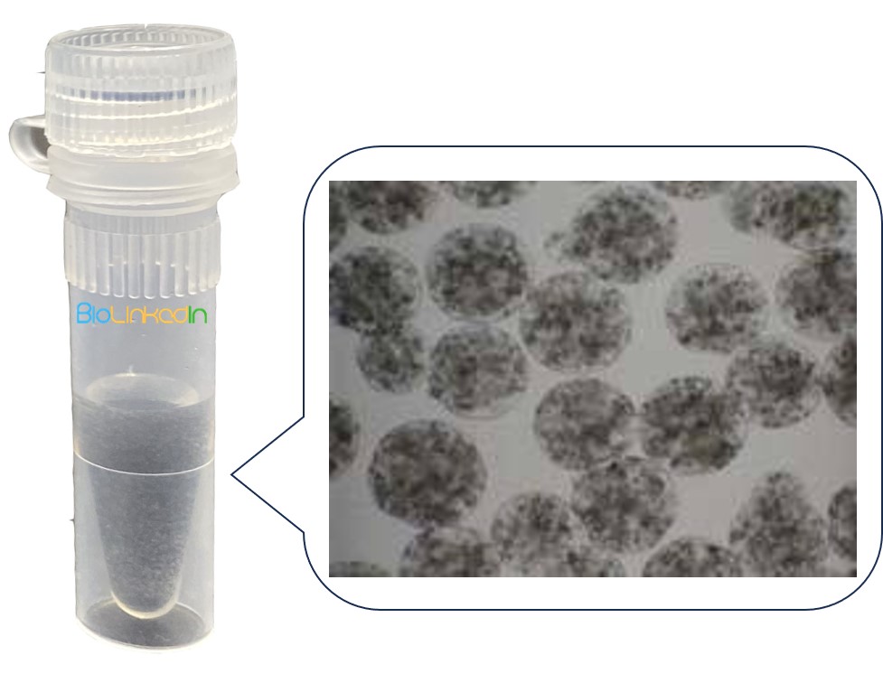 上海翎因生物科技有限公司 - 上海翎因生物科技有限公司